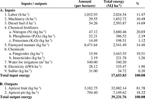 Amount Of Input Output Energy Used In The Dried Apricot Operations