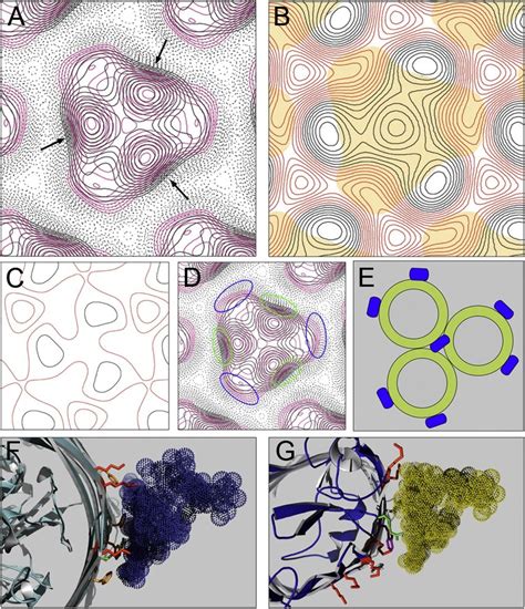 Ompf Coln Rp Crystals Show Increased Peripheral Density At Download Scientific Diagram