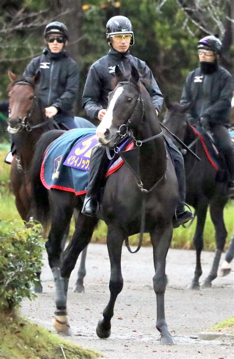【天皇賞・秋】イクイノックスが落ち着いた雰囲気で最終調整 木村調教師「懸念材料はありません」 スポーツ報知