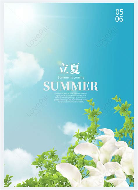안녕하세요 여름 여름 포스터 꽃 이미지 사진 469137348 무료 다운로드