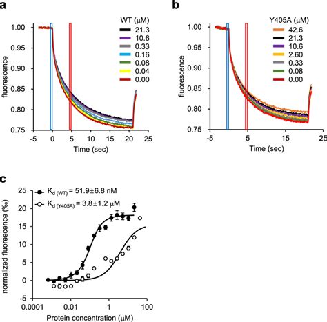 Thermophoretic Analysis Of The Δtmd0peptide Interaction A And B