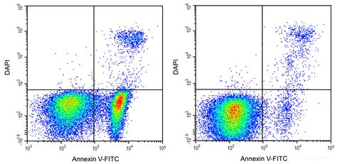 Flow Cytometry Data Of Staining With Annexin V Fluore