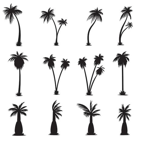 Conjunto De Elementos De Silueta De Palmera Ilustración Vectorial