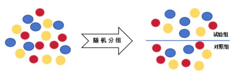 干货来了！lancet杂志的临床试验论文，随机化分组如何开展？论文中随机分组方法怎么描述 Csdn博客
