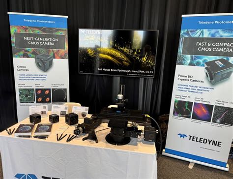 Cairn Gmbh On Linkedin Fluorescence Microscopy Automation