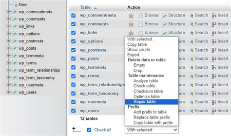 How To Fix Error Establishing Database Connection In Wordpress