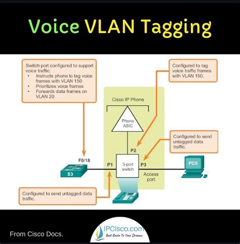 Ipcisco Master Voice Vlan Tagging Network Configs Lesson Buffly
