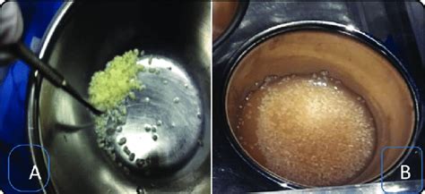 A Photograph Showing Group Ii Xenograft Mixed With Saline A And Group Download Scientific