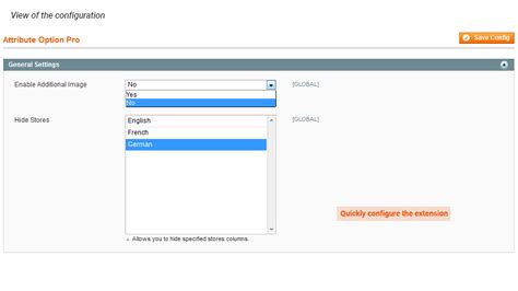 Attribute Option Pro Magento Extension