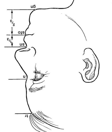Аналіз стану мяких тканин