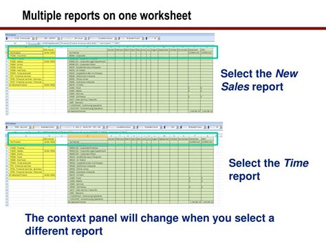 Ppt An Overview Of Sap Bpc 100 Reporting Features And Functionality