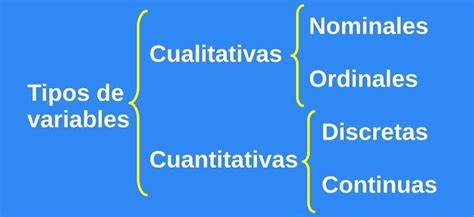 La Variable Escolaridad De Una Persona Es A Cualitativa De Escala Nominal B Cualitativa