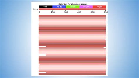 Protein Sequence Analysis Ppt