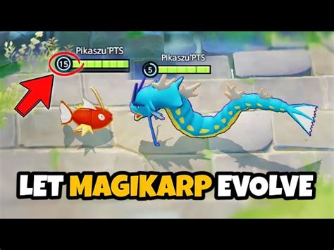 Pokemon Sword Magikarp Evolution