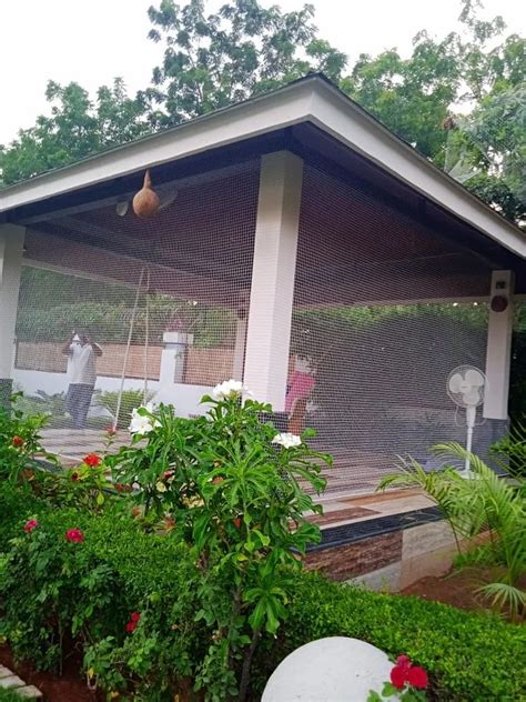 White Nylon Bird Protection Netting For 100 At Rs 10 Sq Ft In Ajmer