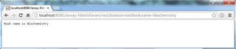 Jersey 2 X Web Service Using MatrixParam Annotation BenchResources Net