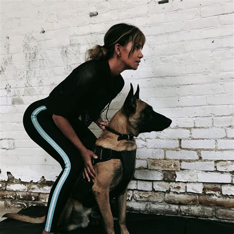 Em John Wick Tudo Come A E Termina Com Os C Es Conhe A As Estrelas Da Saga Pit