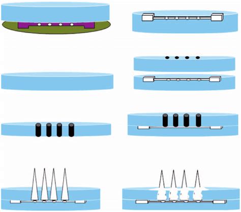 Process Flow Diagram For Embedding The Rigid Microneedles Within The