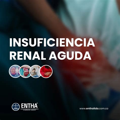 Insuficiencia Renal Aguda Entha