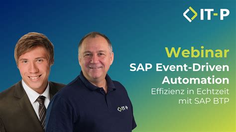 Prozessverantwortlichkeit It P Gmbh