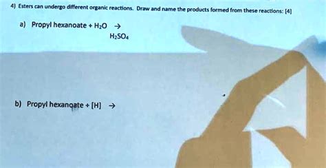Solved Esters Can Under8o Different Organic Reactions Draw And Name The Products Formed From