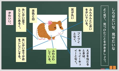 小1 国語科「しらせたいな、見せたいな」全時間の板書＆指導アイデア｜みんなの教育技術
