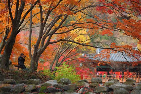 가을 단풍여행 추천 여행지[10월에 가볼만한 곳 단풍사진 잘 찍는 법 단풍명소] 네이버 블로그