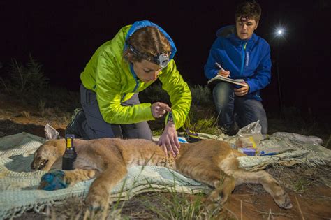 The Importance Of Gender Equality In Conservation Interview IUCN SOS