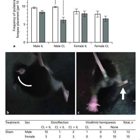 Impaired Sensorimotor And Motor Function In Mouse Pups 5 Days After