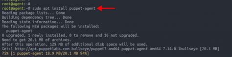 How To Install Puppet Server And Agent On Debian