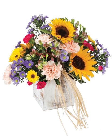 Name The Arrangement Royers Flowers And Ts Flowers Plants And
