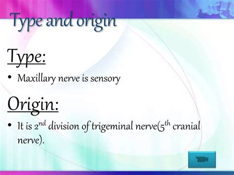 The Maxillary Nerve Pptx