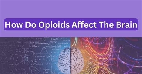 How Do Opioids Affect The Brain United Recovery California