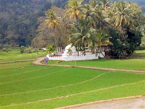 කැටපත් පවුර මාතලේ හරිම සුන්දරයි Srilanka 🇱🇰🇱🇰