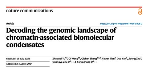 生命科学与技术学院张勇团队开发机器学习方法解析生物大分子凝聚体的全基因组图谱，研究成果发表于《自然·通讯》 同济大学新闻网