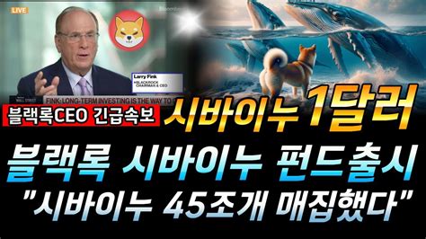 시바이누 코인 무려 45조 시바이누 매집 블랙록에서 새로운 펀드 출시 계획 비트코인 시바이누코인 도지코인 이더리움 리플 Youtube