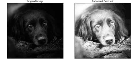 Mastering Image Contrast A Step By Step Guide To Enhancing Image Nomidl