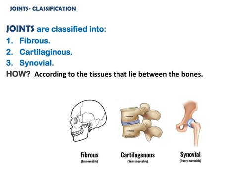 PPT JOINTS PowerPoint Presentation Free Download ID