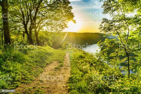 강 또는 호수에 아름 다운 화려한 여름 아침입니다 파란 맑은 하늘 녹색 잔디입니다 외로운 진정 분위기 명상 자연 개념입니다 공간