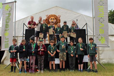 Strategy And Evolution Home