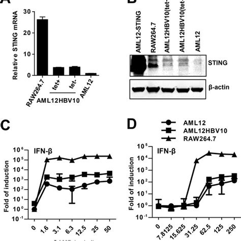 Expression And Functionality Of Sting In Human Hepatoma Cells The Download Scientific Diagram
