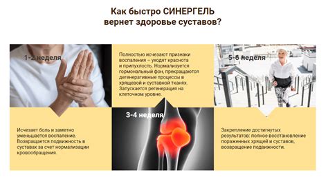 Состав и инструкция по применению Синергель для суставов