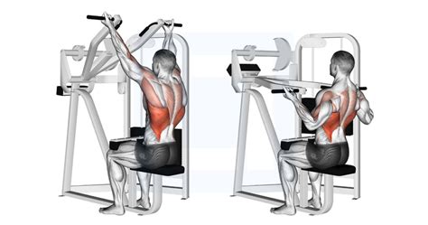 Dumbbell Reverse Grip Row Guide Benefits And Form