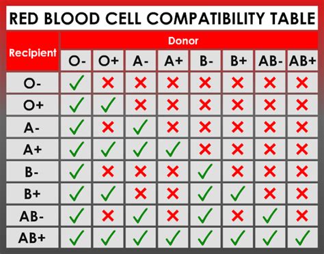 Know Your Genotype And Rhesus Factor Before Marriage Incompatibility