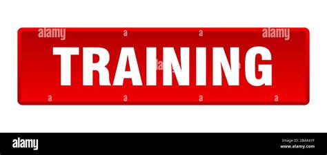 Training Button Training Square Red Push Button Stock Vector Image And Art Alamy