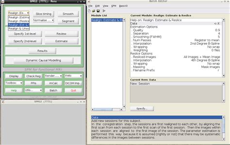 Statistical Parametric Mapping Spm Neurodesk