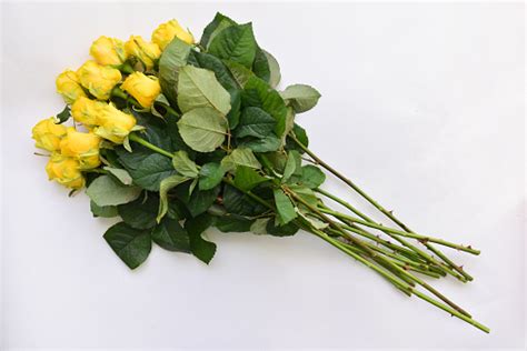 장미 꽃의 꽃다발 흰색 배경에 나뭇잎 평면 누워 평면도 엽서 생일 축 하 아버지의 날 어머니의 날 생일 꽃 어레인지 구도에 대한 스톡 사진 및 기타 이미지 Istock