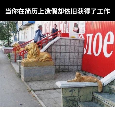 当你在简历上造假却依旧获得了工作 网友制作的meme梗图