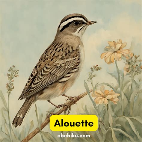Alouette Jonti Alouette Lyrics Translation At Mia Fortune Blog