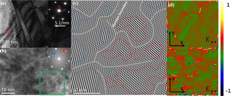 A Bf Of L Shows The Morphology Of Complete R Phase With Different Download Scientific Diagram